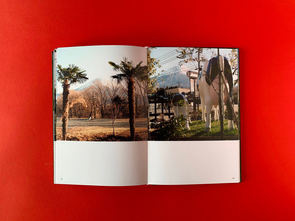 Two Hundred Views of Mount Fuji, Hiroshi Masuko – The Library Project