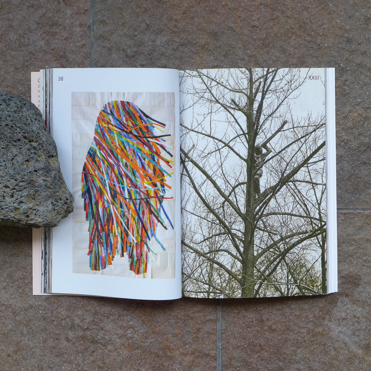 Mimicry - Empathy, Susanne Bürner – The Library Project