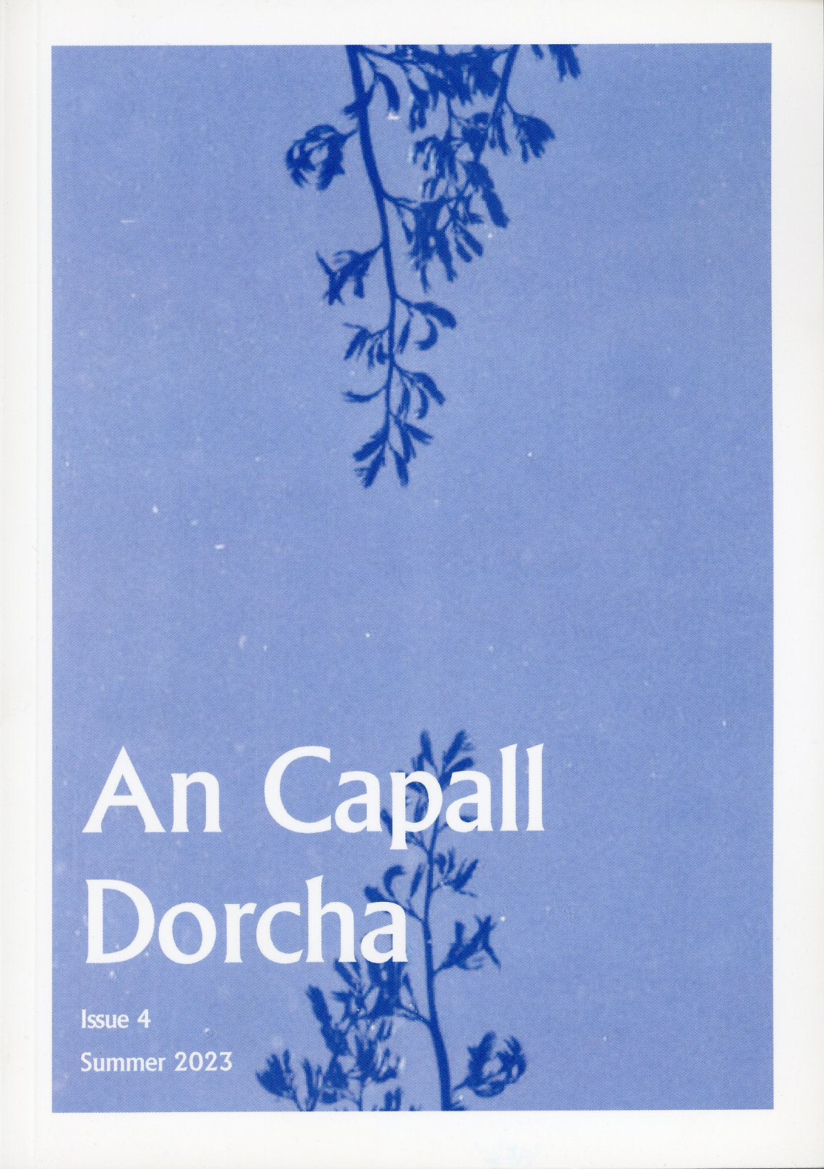 An Capall Dorcha, Issue 4 – The Library Project