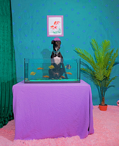 Enda Burke, Aqua Bobo – The Library Project