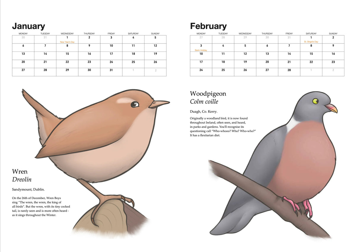 A Calendar of Irish Birds 2025, Joe Hollingsworth & OystercatcherTF ...
