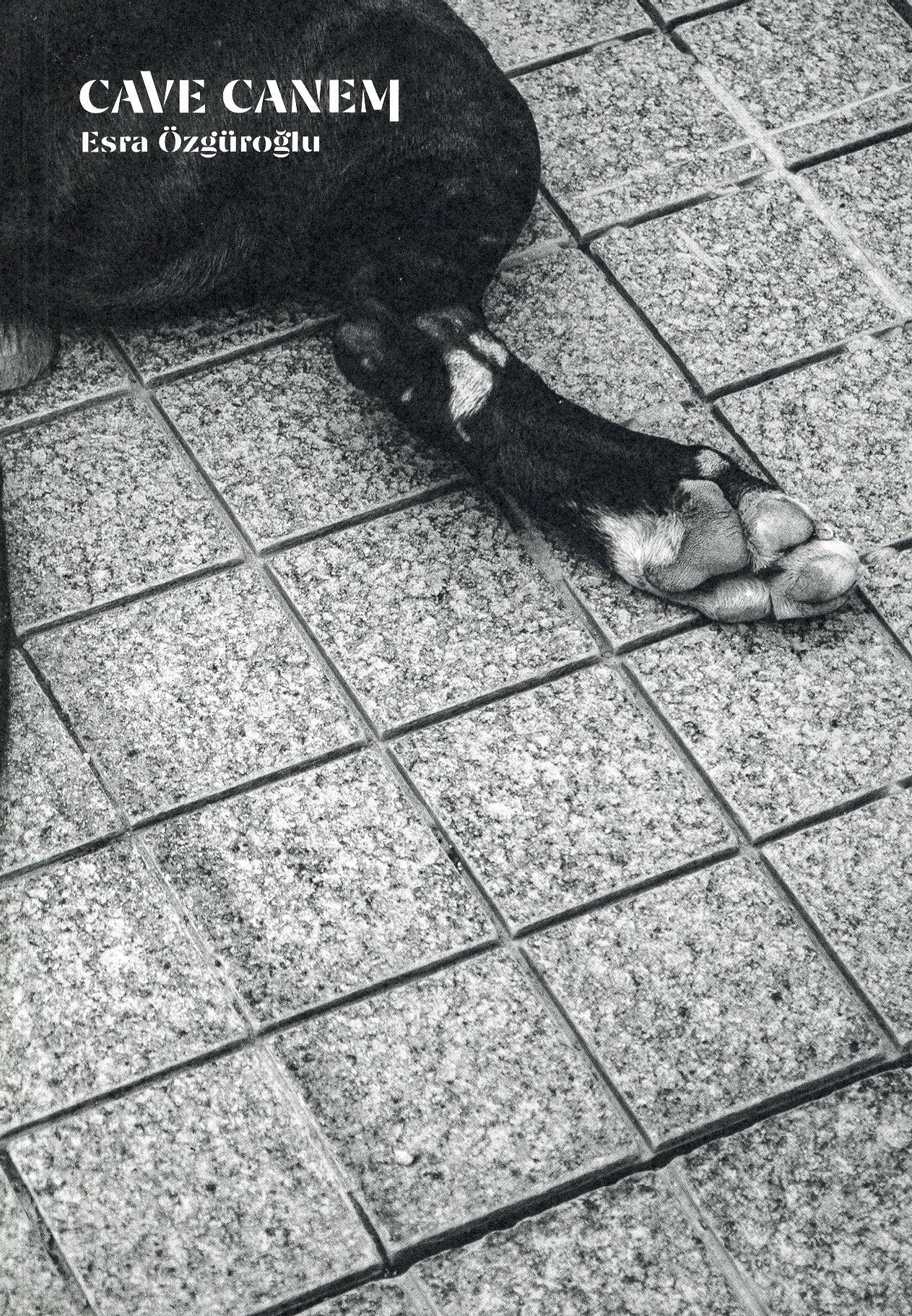 Cave Canem, Esra Ozgurooglu – The Library Project