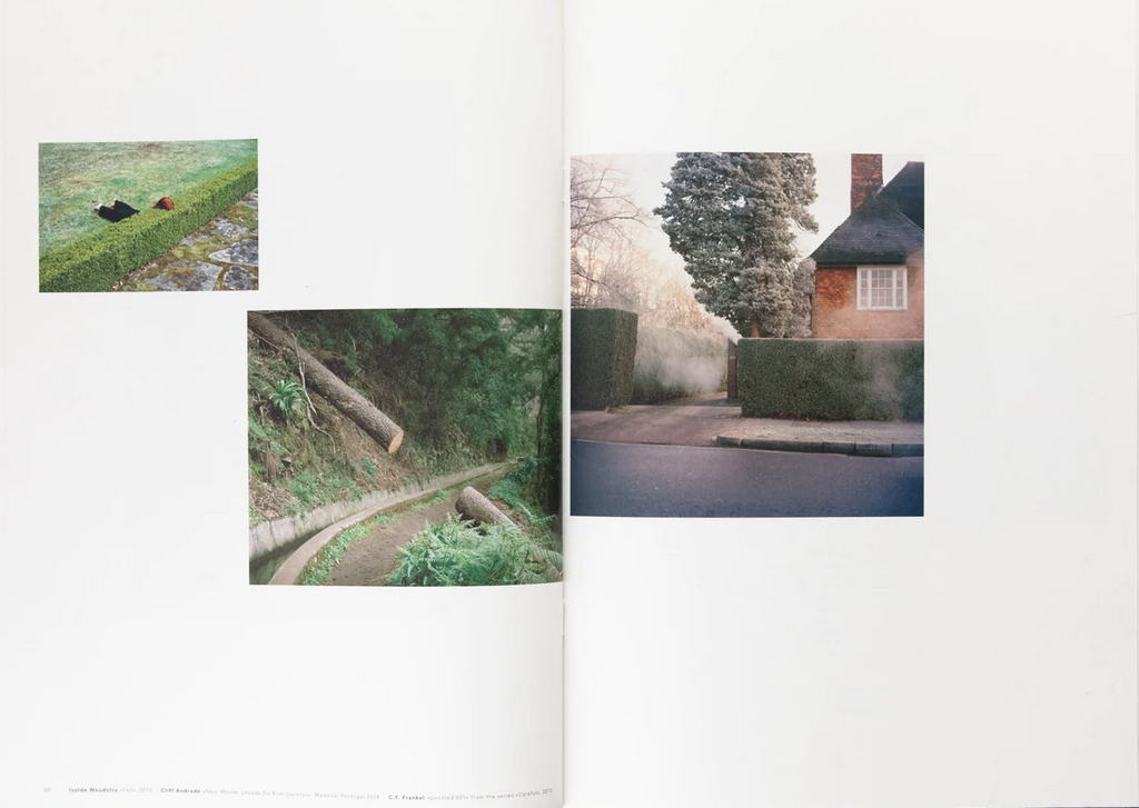 Der Greif, Issue 8 – The Library Project