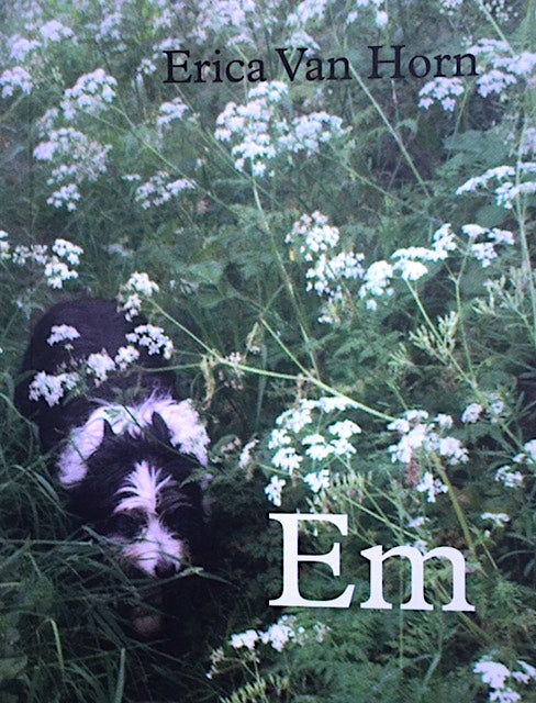 Em & Me, Erica Van Horn – The Library Project