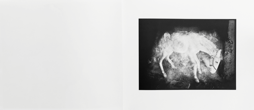 End Time City, Michael Ackerman – The Library Project