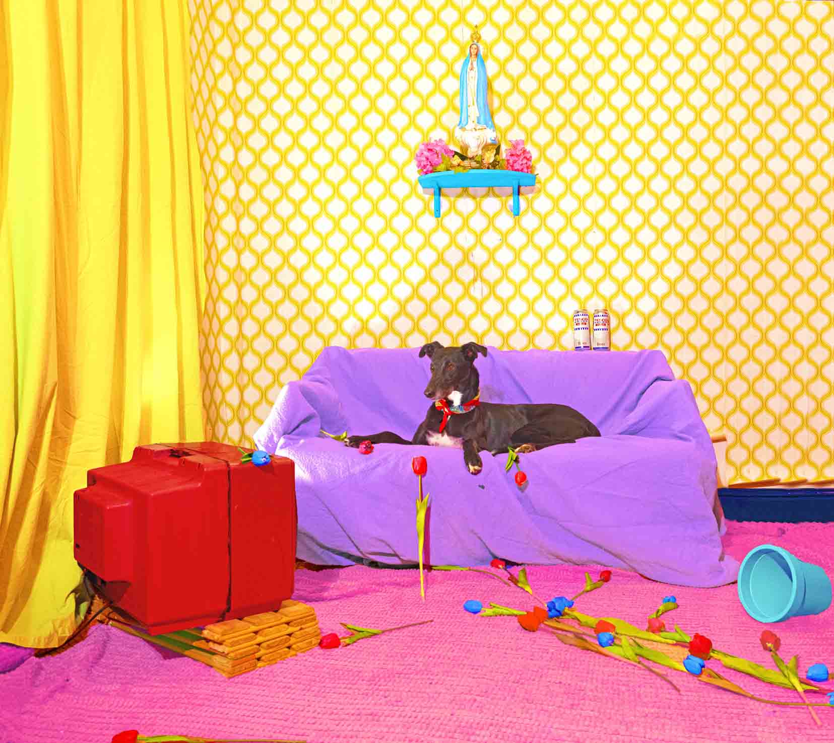 Enda Burke, Bobo Watching TV – The Library Project