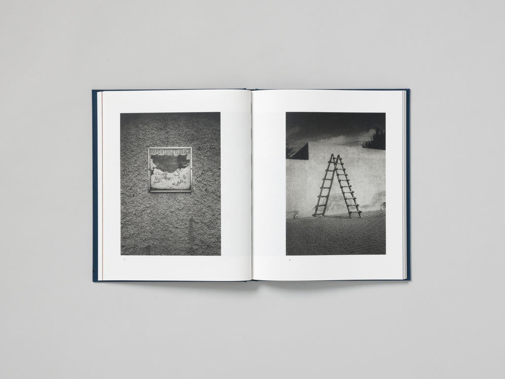 False Friends, Dominic Turner – The Library Project