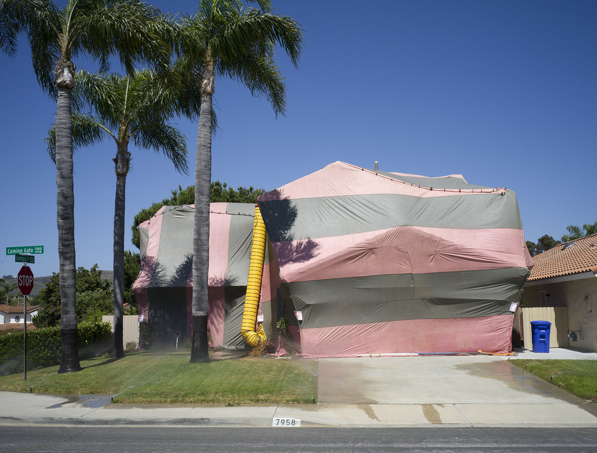 Fiona Hackett, Camino Gato – The Library Project