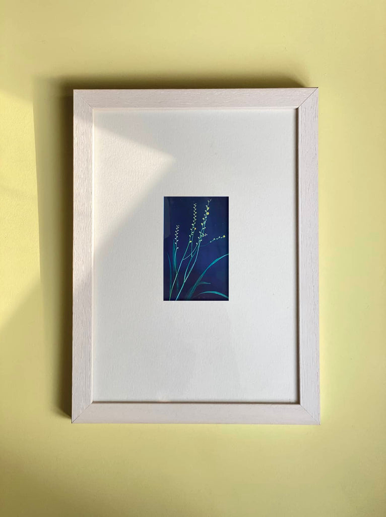 Freddie Stevens, Montbretia – The Library Project