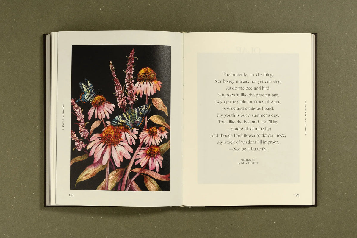 Insectile Inspiration: Insects in Art and Illustration – The Library ...