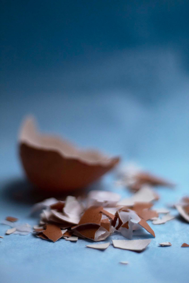 Jessie Byrne, Fragile State of Mind, Still life #3 – The Library Project