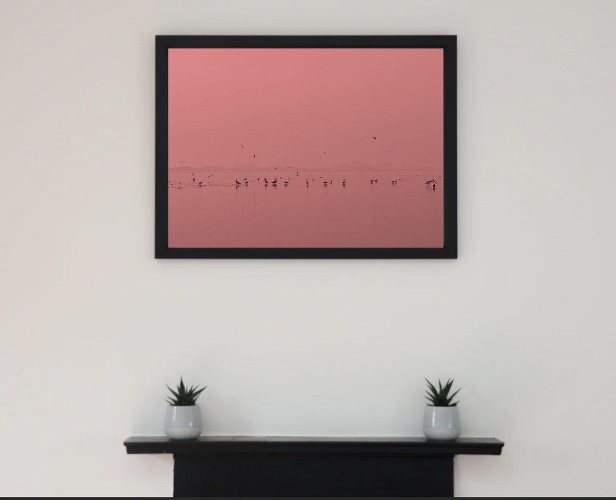 Kate Swift, Beyond – The Library Project