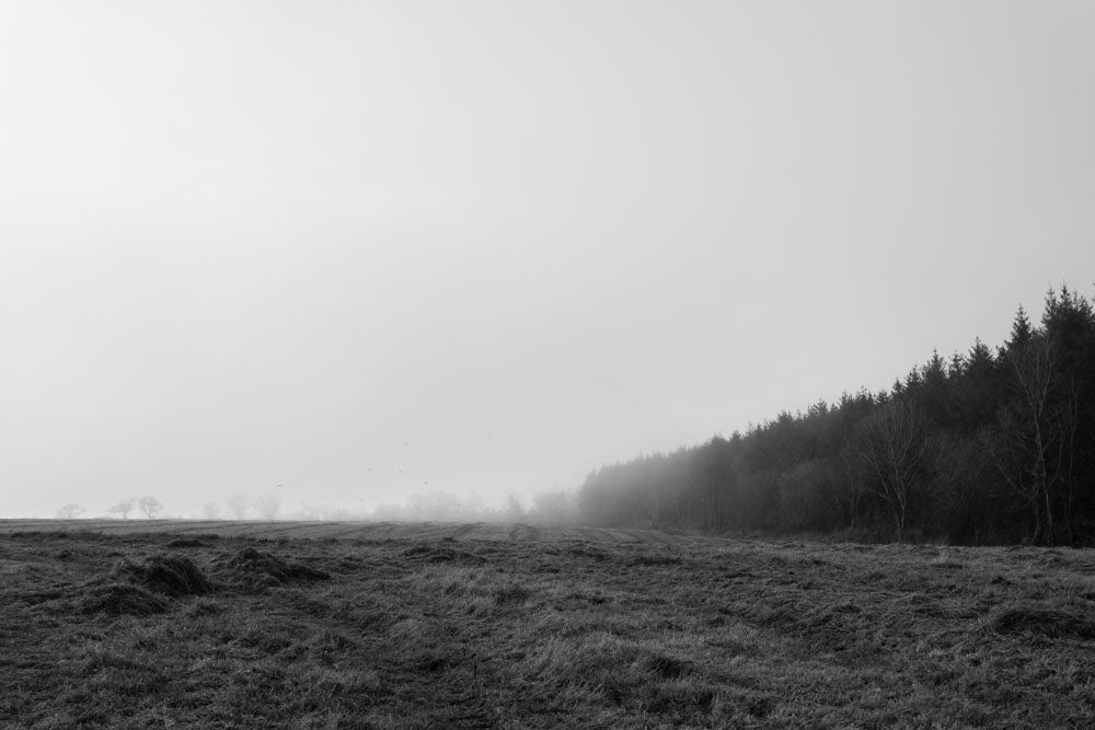 Kate Swift, First Man Series I – The Library Project