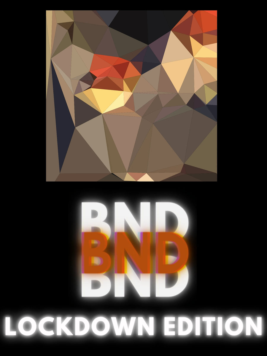 BND Magazine: Lockdown Edition – The Library Project