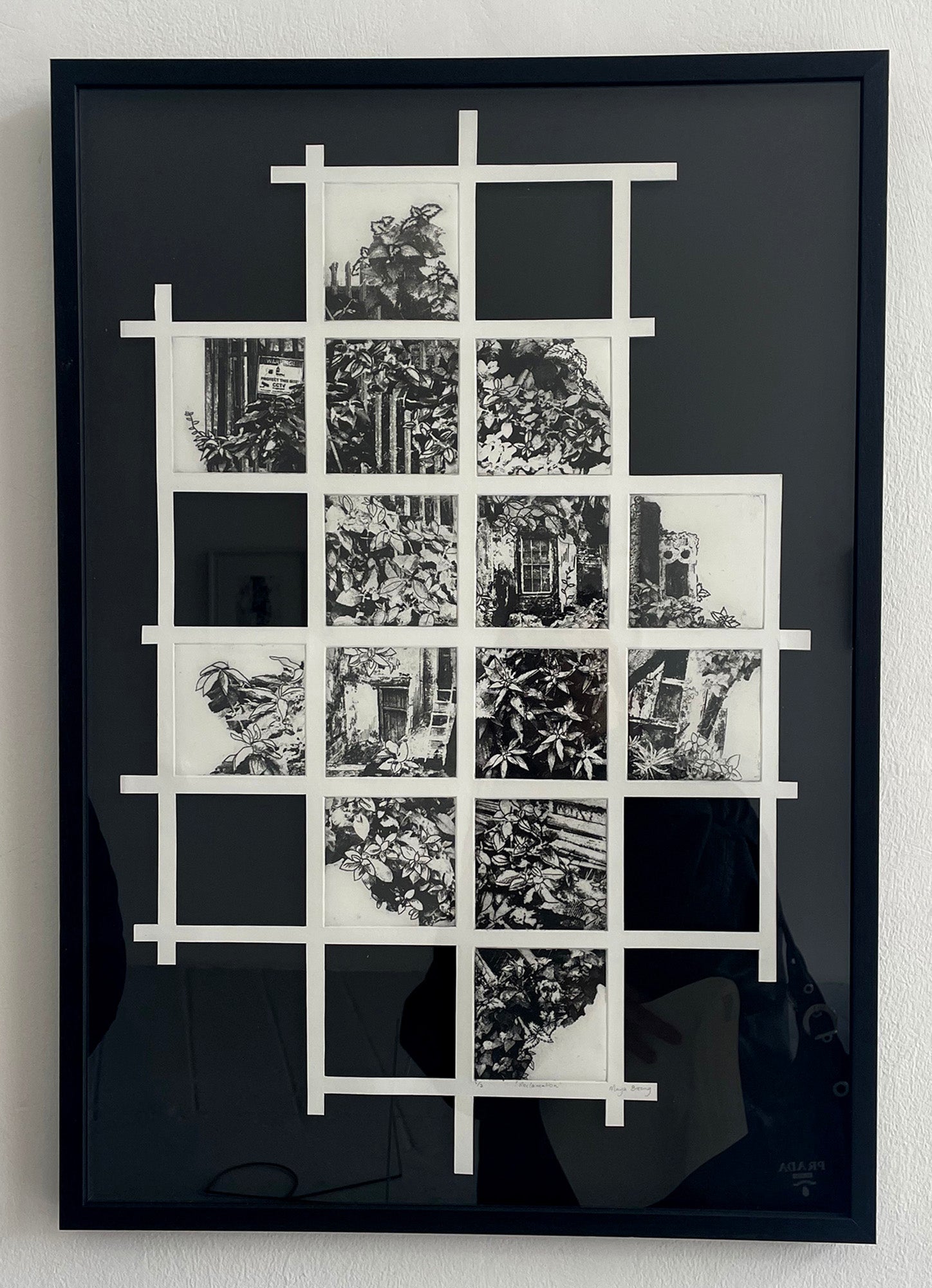 Maya Brezing, Reclamation – The Library Project