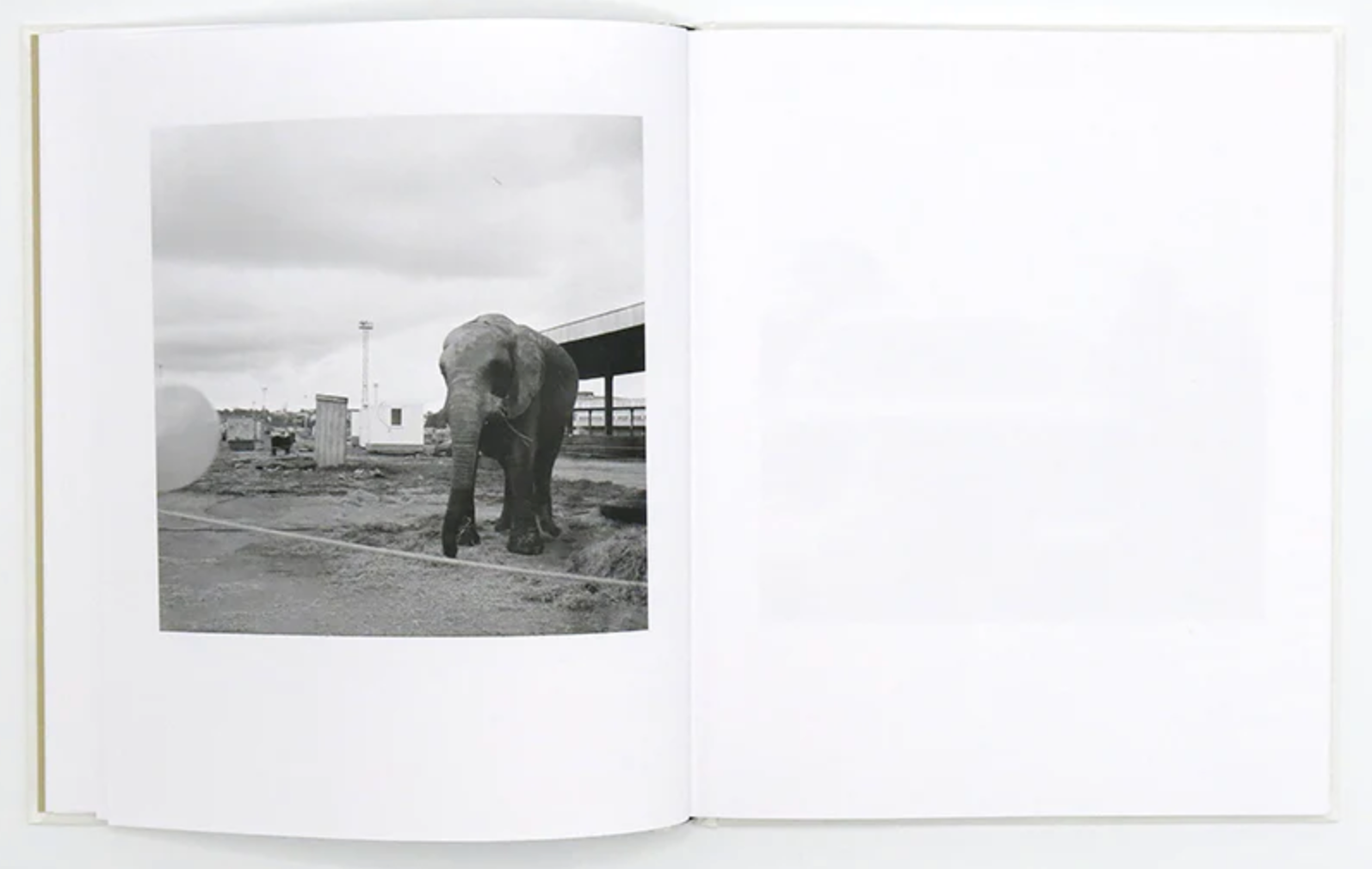 P.North, Kathryn McCool – The Library Project