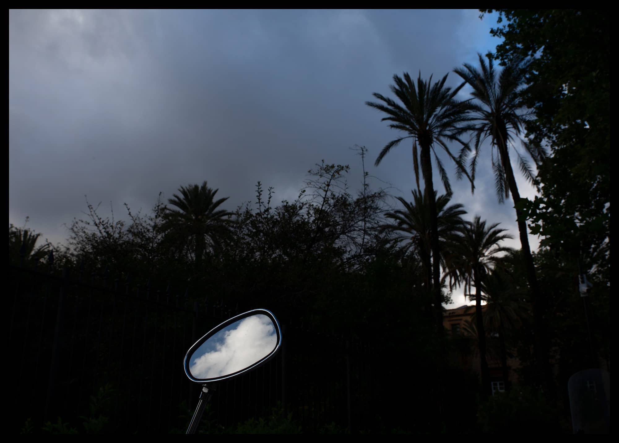 Peter Molloy, Palermo III – The Library Project
