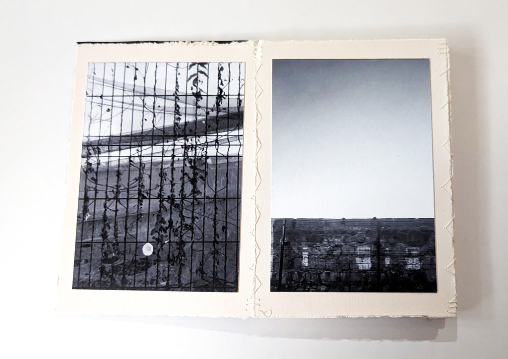 Caged (Handmade Leporello Version), Rachel Naughton – The Library Project