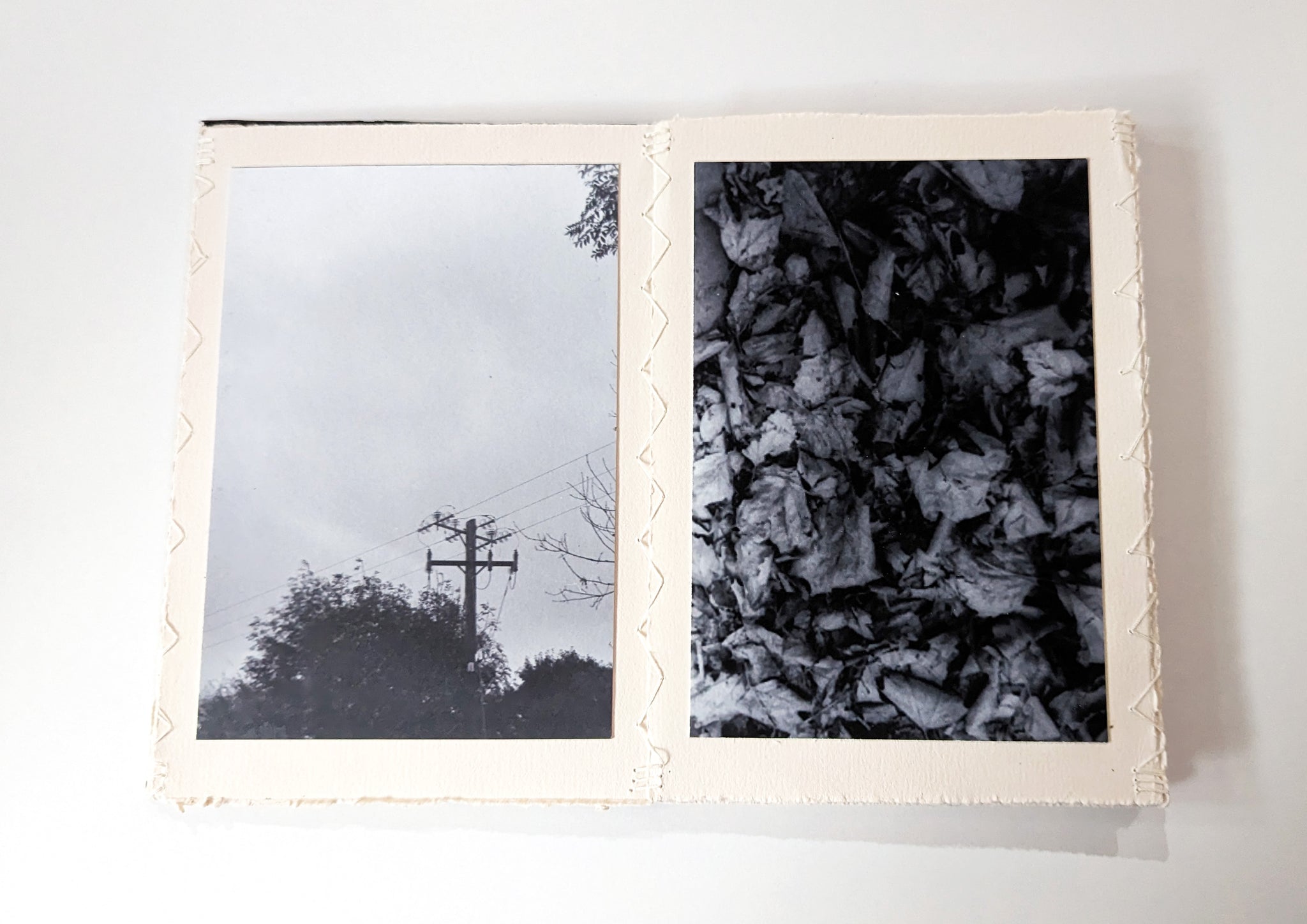 Caged (Handmade Leporello Version), Rachel Naughton – The Library Project