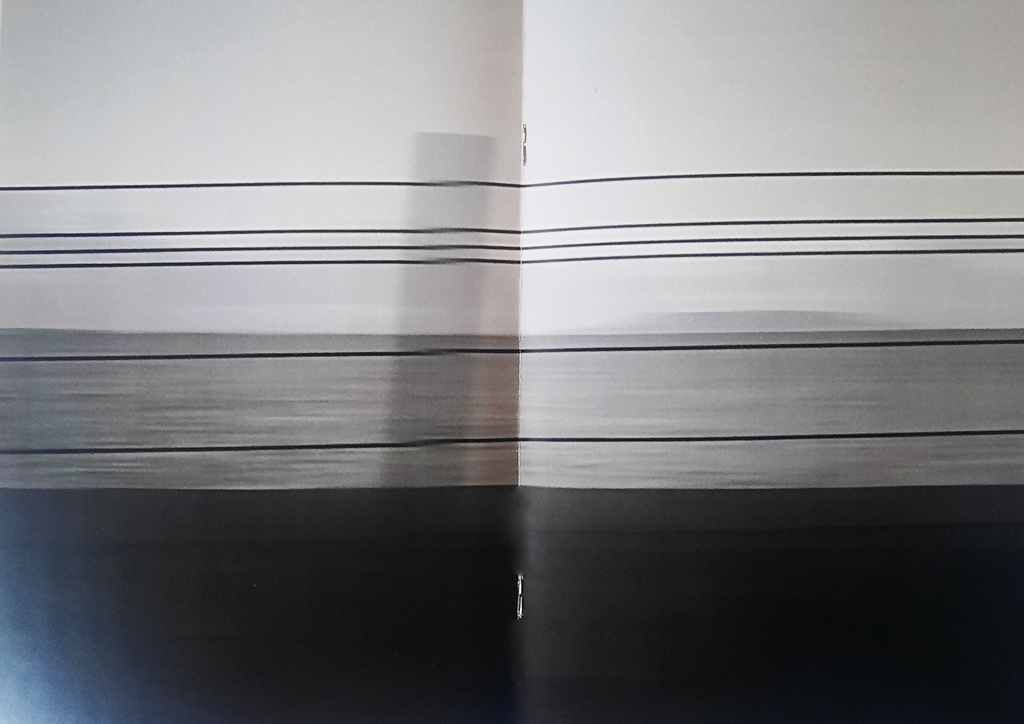 Caged, Rachel Naughton – The Library Project