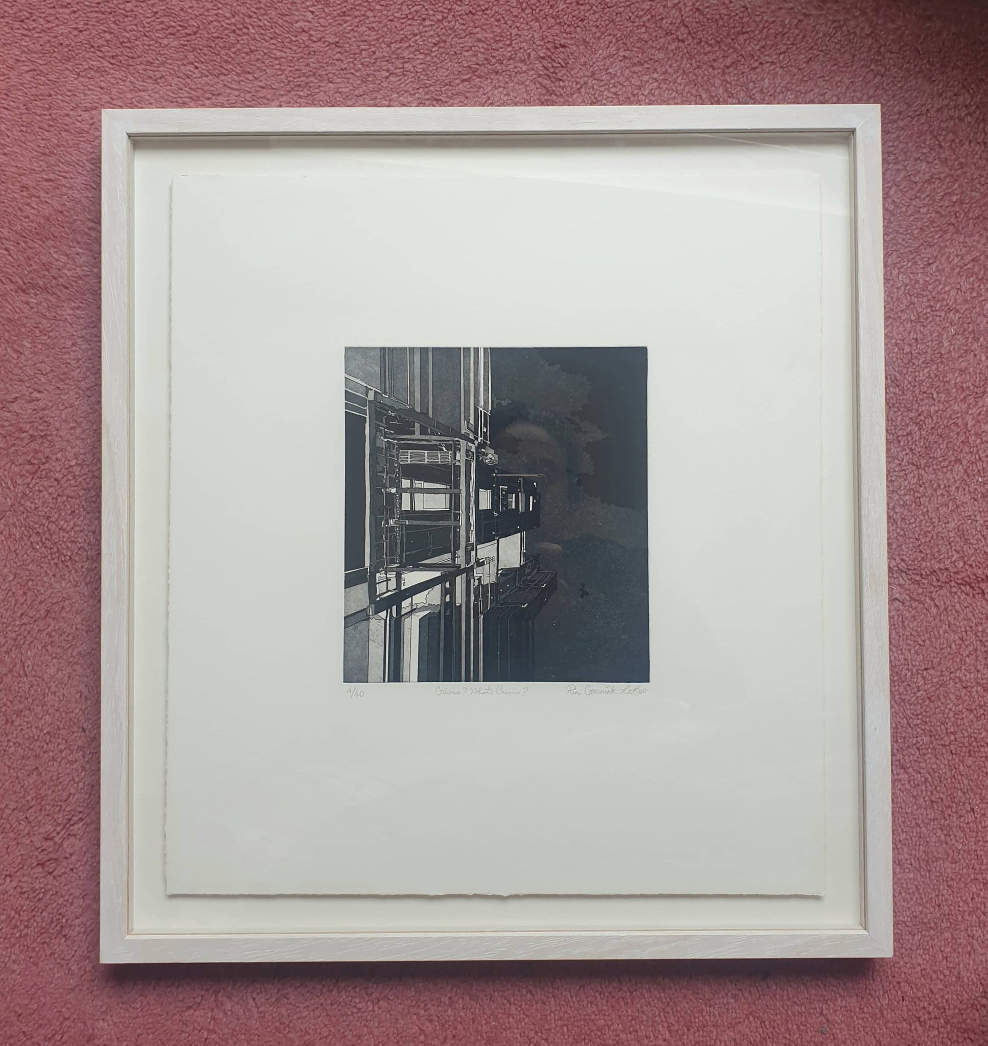 Ria Czerniak-LeBov, Crisis? What Crisis? – The Library Project