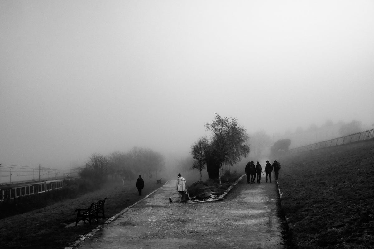 Stephen Turner, Misty Morning – The Library Project