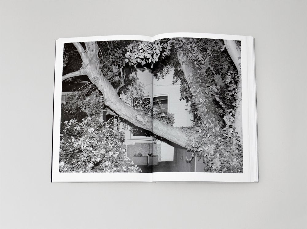 Augury, Elena Helfrecht and Teri Varhol – The Library Project