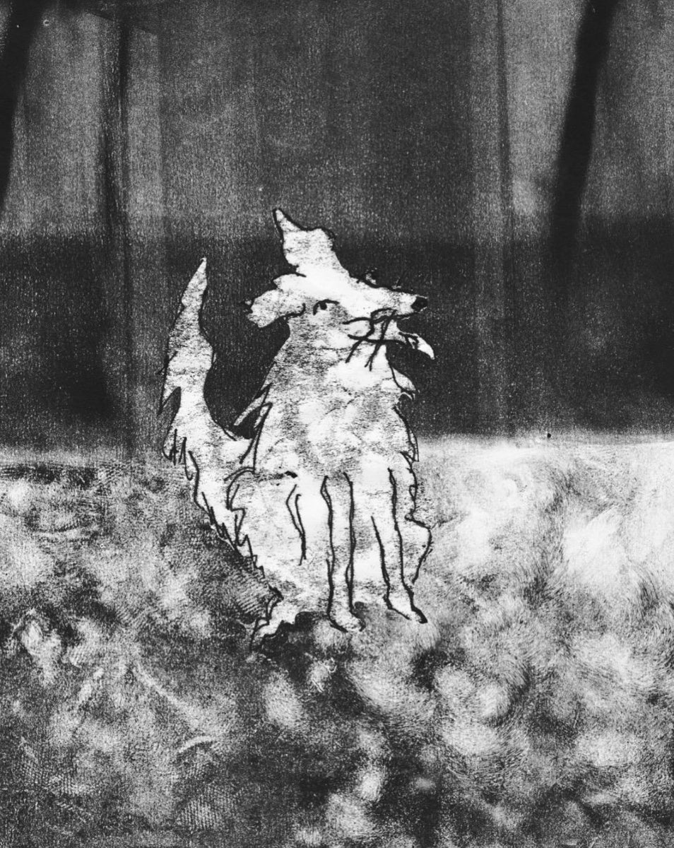 Ailbhe Wheatley, Wuff Day – The Library Project