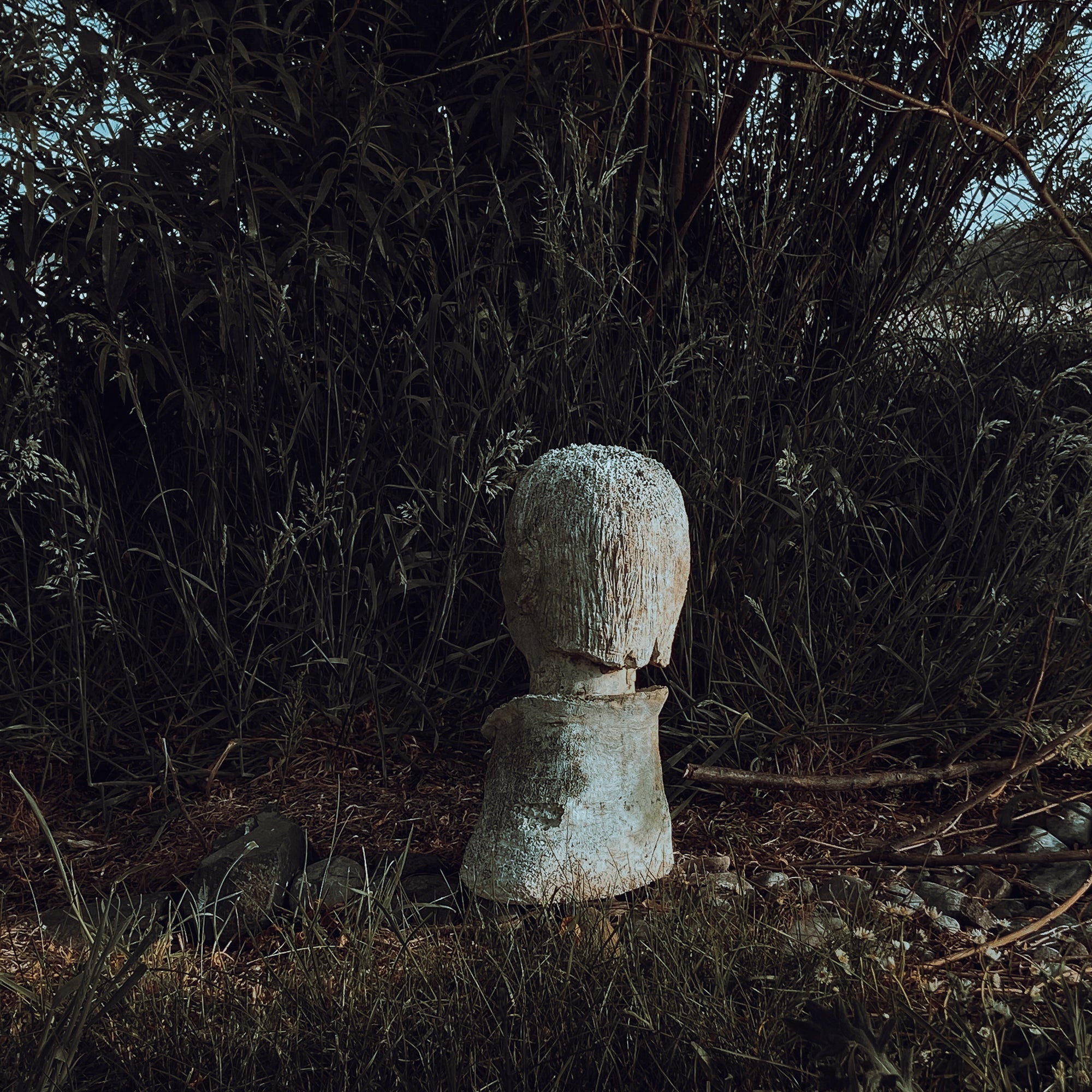 Pauline Rowan, Brigid's Folly – The Library Project