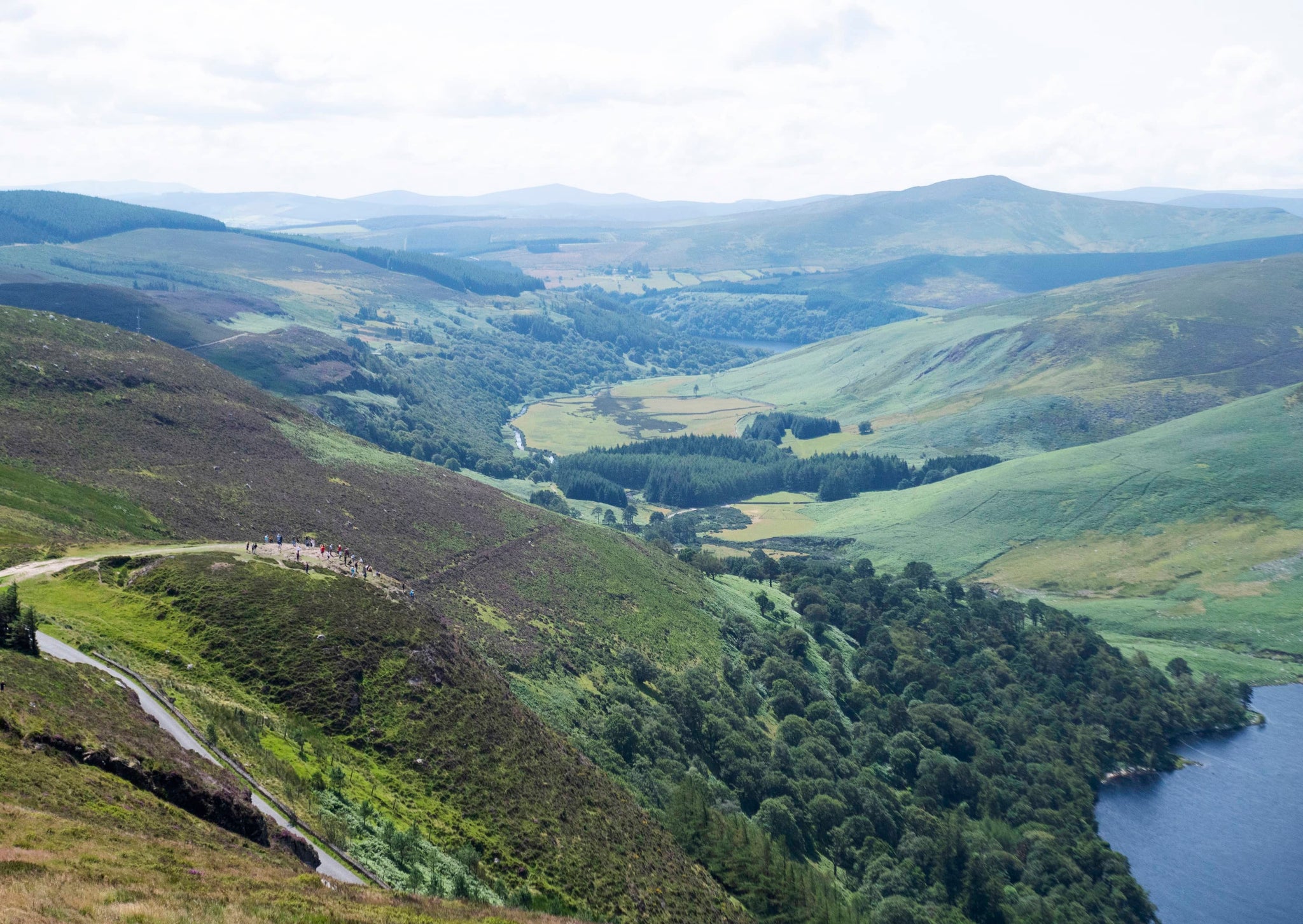 Footnotes, Ellie Berry – The Library Project