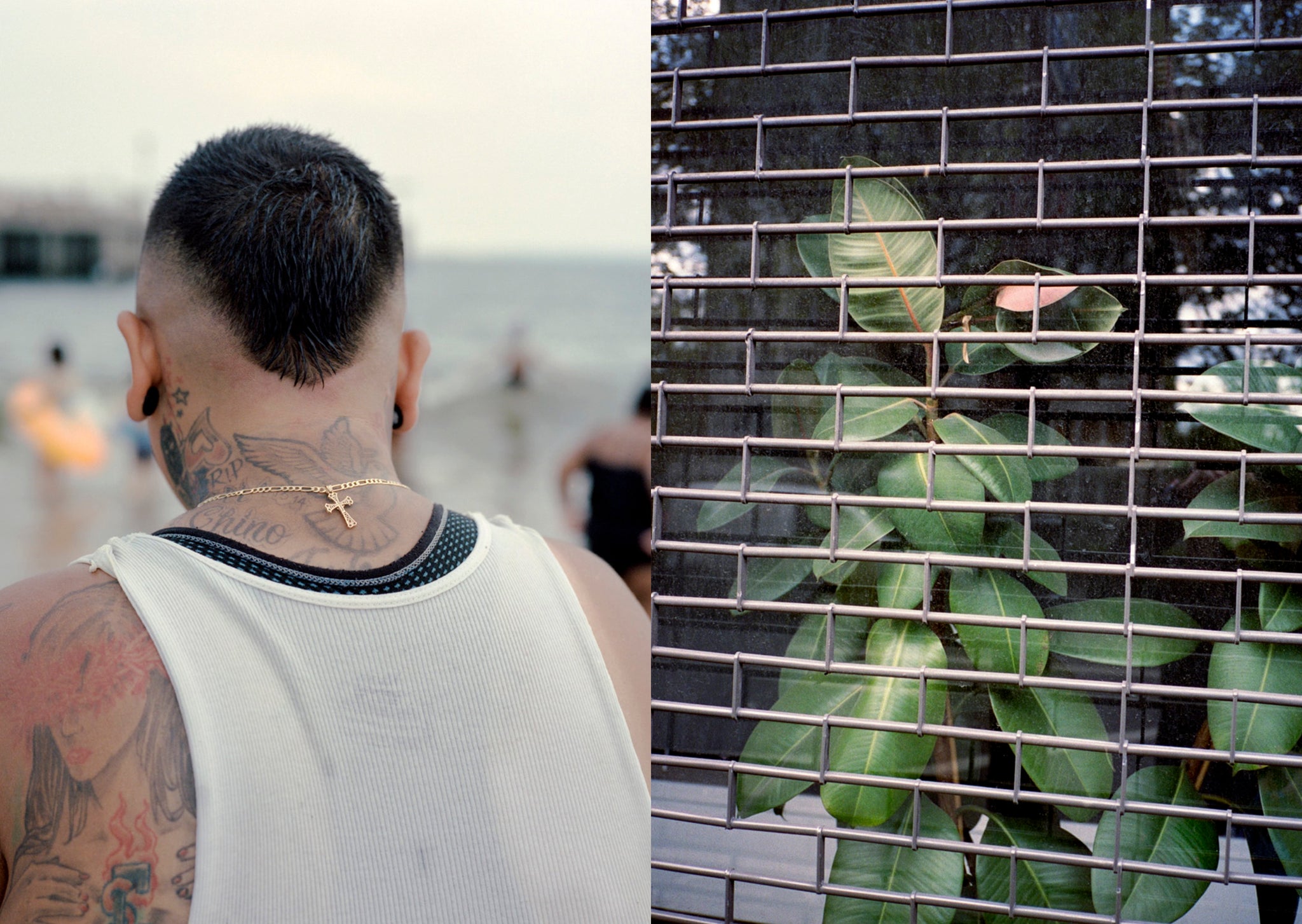 Capital, Ellius Grace – The Library Project