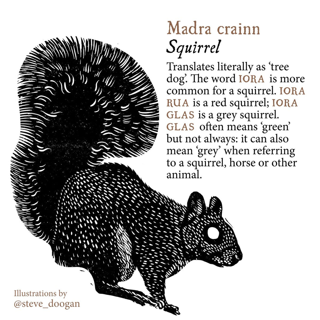 Tree Dogs, Banshee Fingers and Other Irish Words for Nature, Manchán M ...