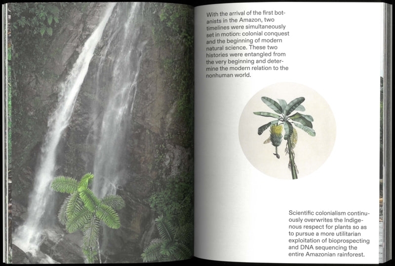 Forest Mind, Ursula Biemann – The Library Project