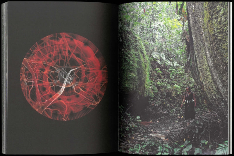 Forest Mind, Ursula Biemann – The Library Project