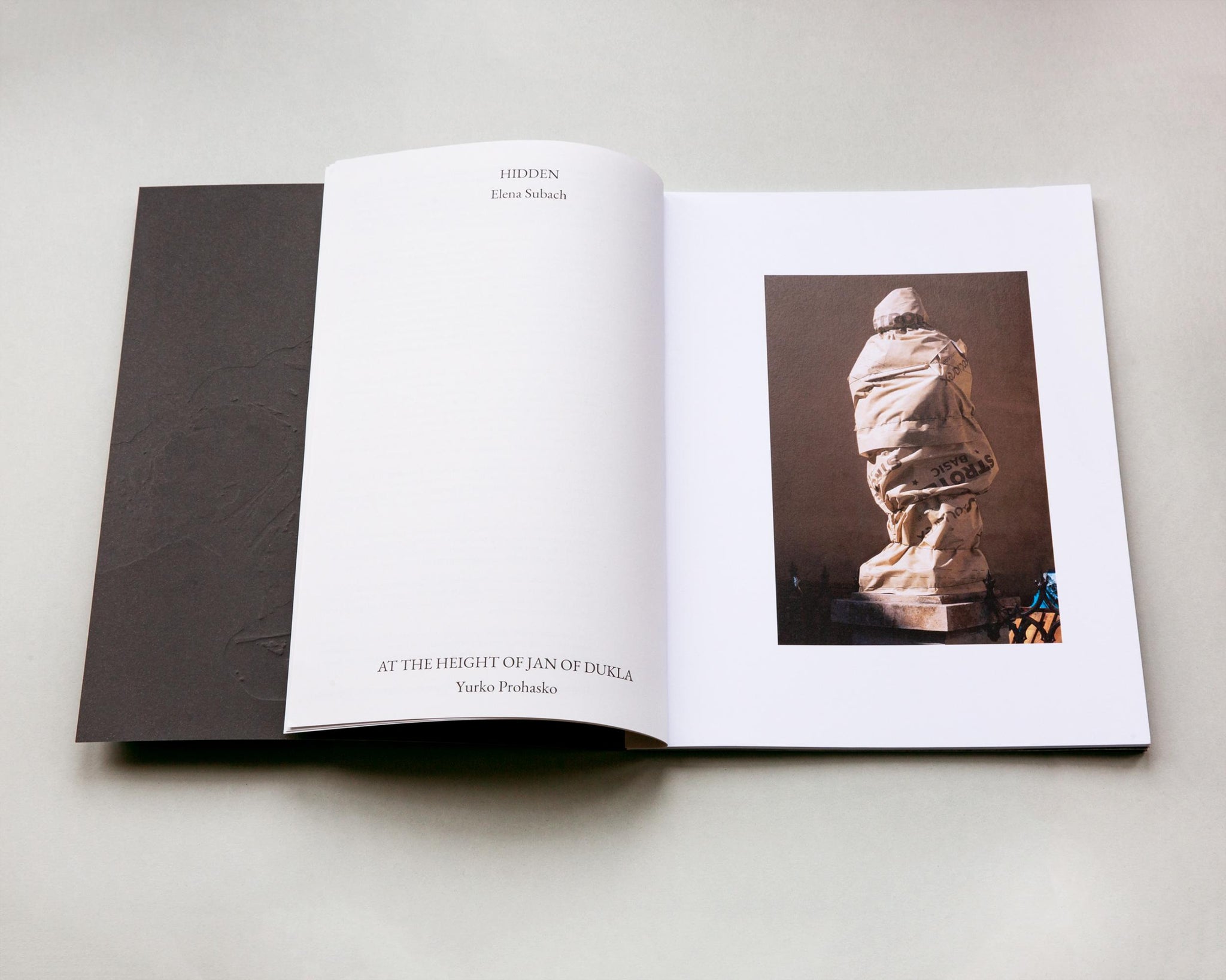 Hidden, Elena Subach – The Library Project
