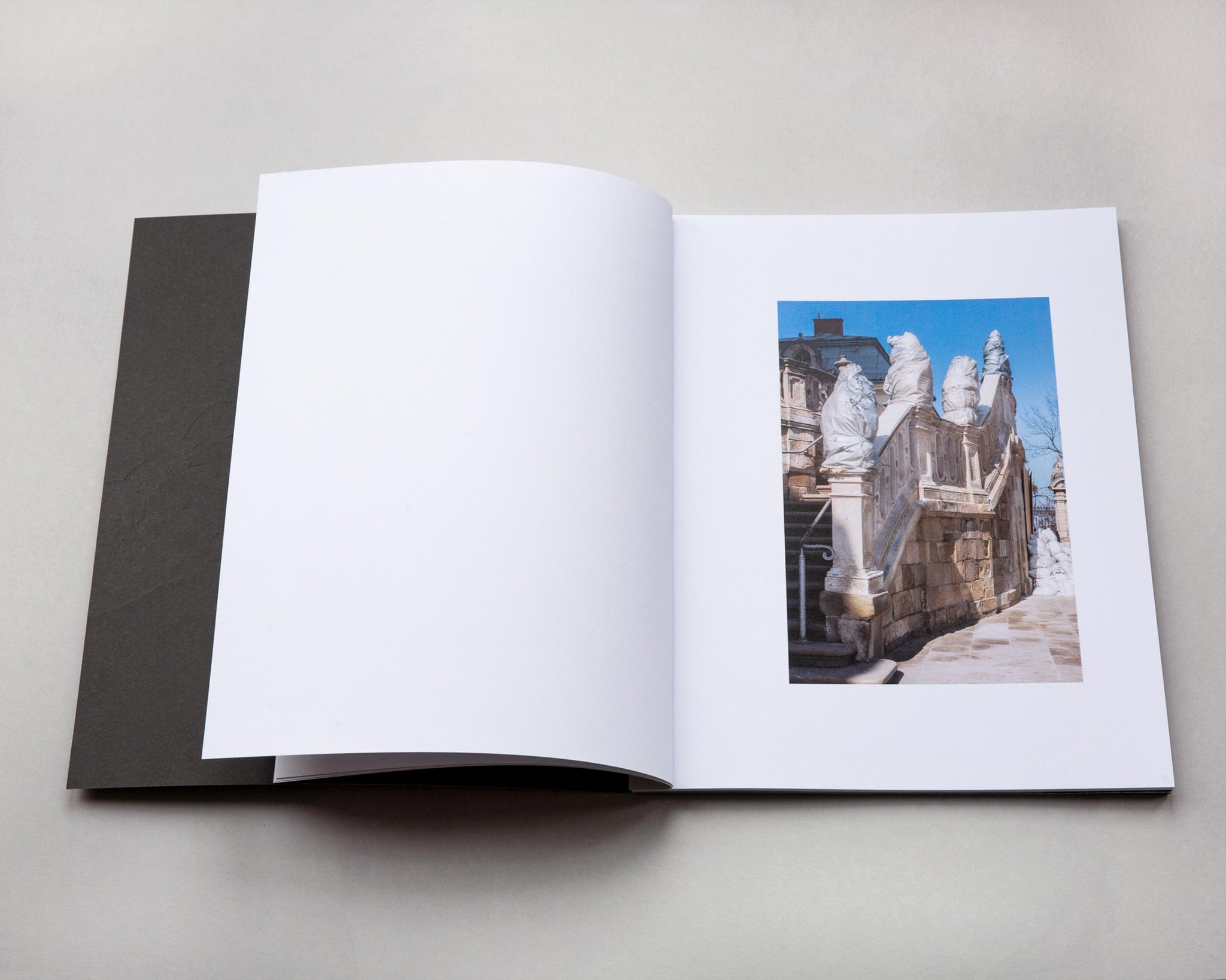 Hidden, Elena Subach – The Library Project
