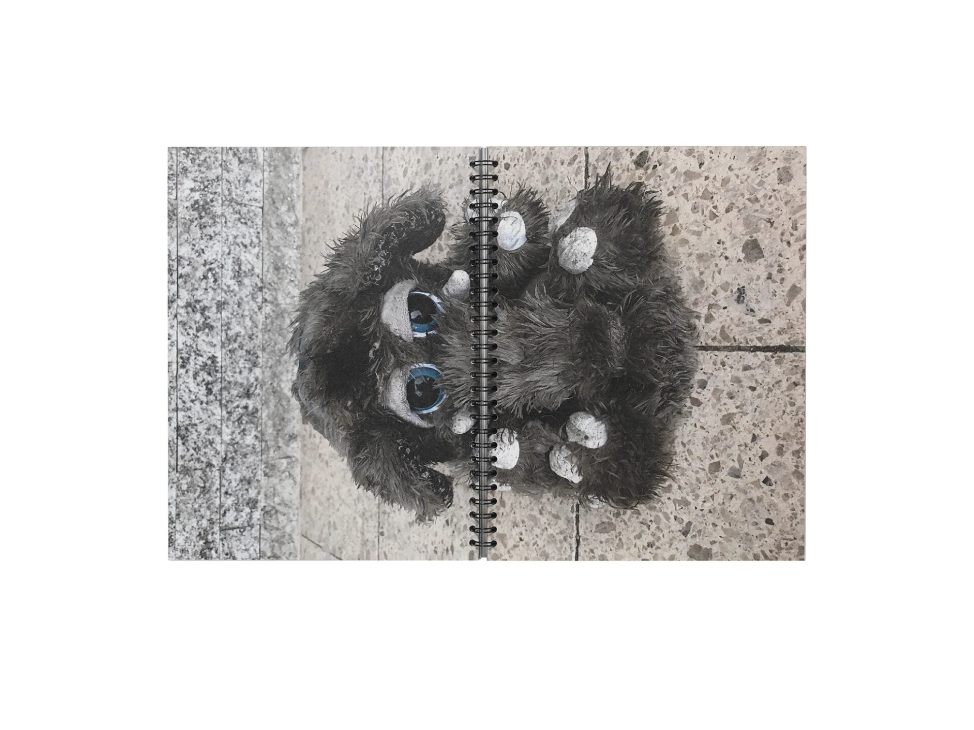 Monuments, Alan Gignoux and Chloe Juno – The Library Project