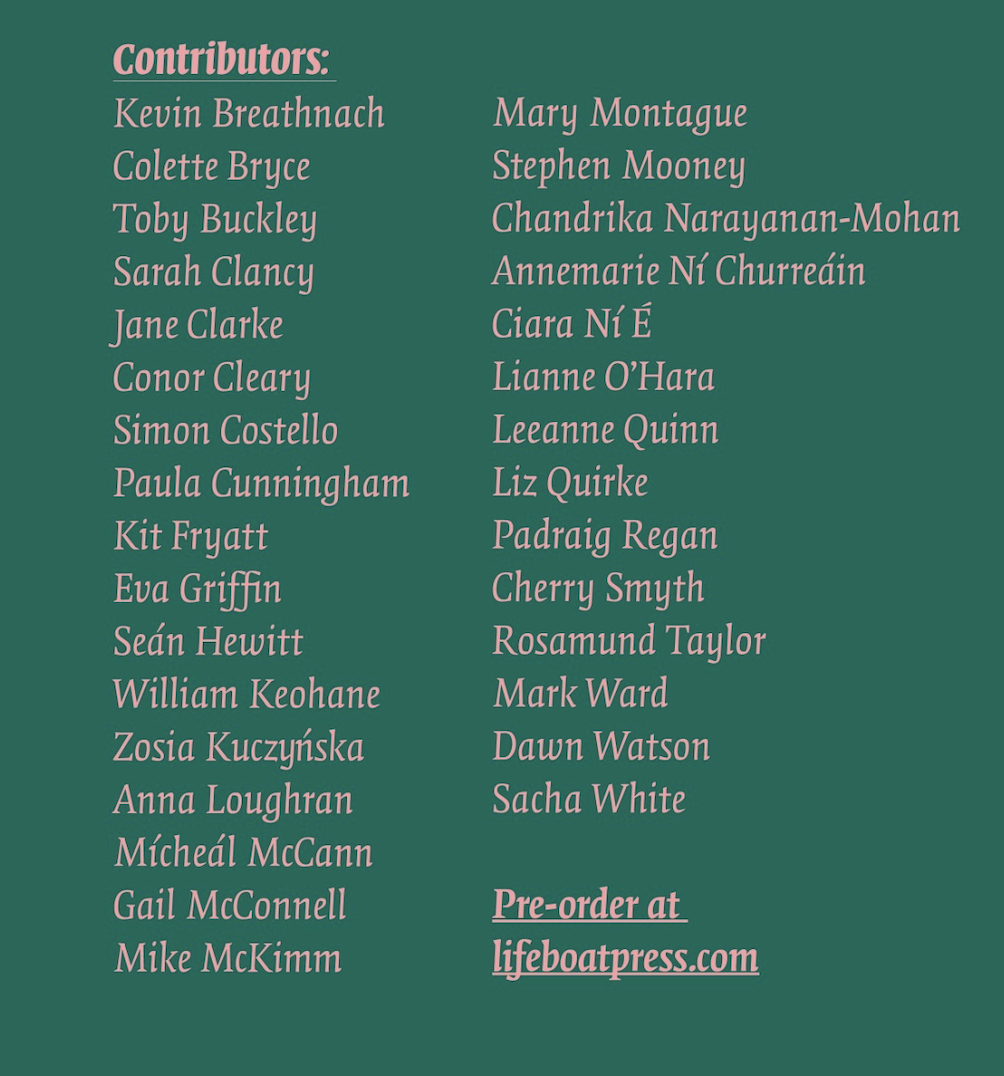 Queering the Green: Post-2000 Queer Irish Poetry, Paul Maddern (Ed ...