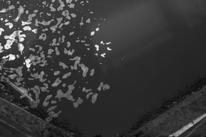 The Long Mirror, Sinéad Curran and Jane Locke – The Library Project