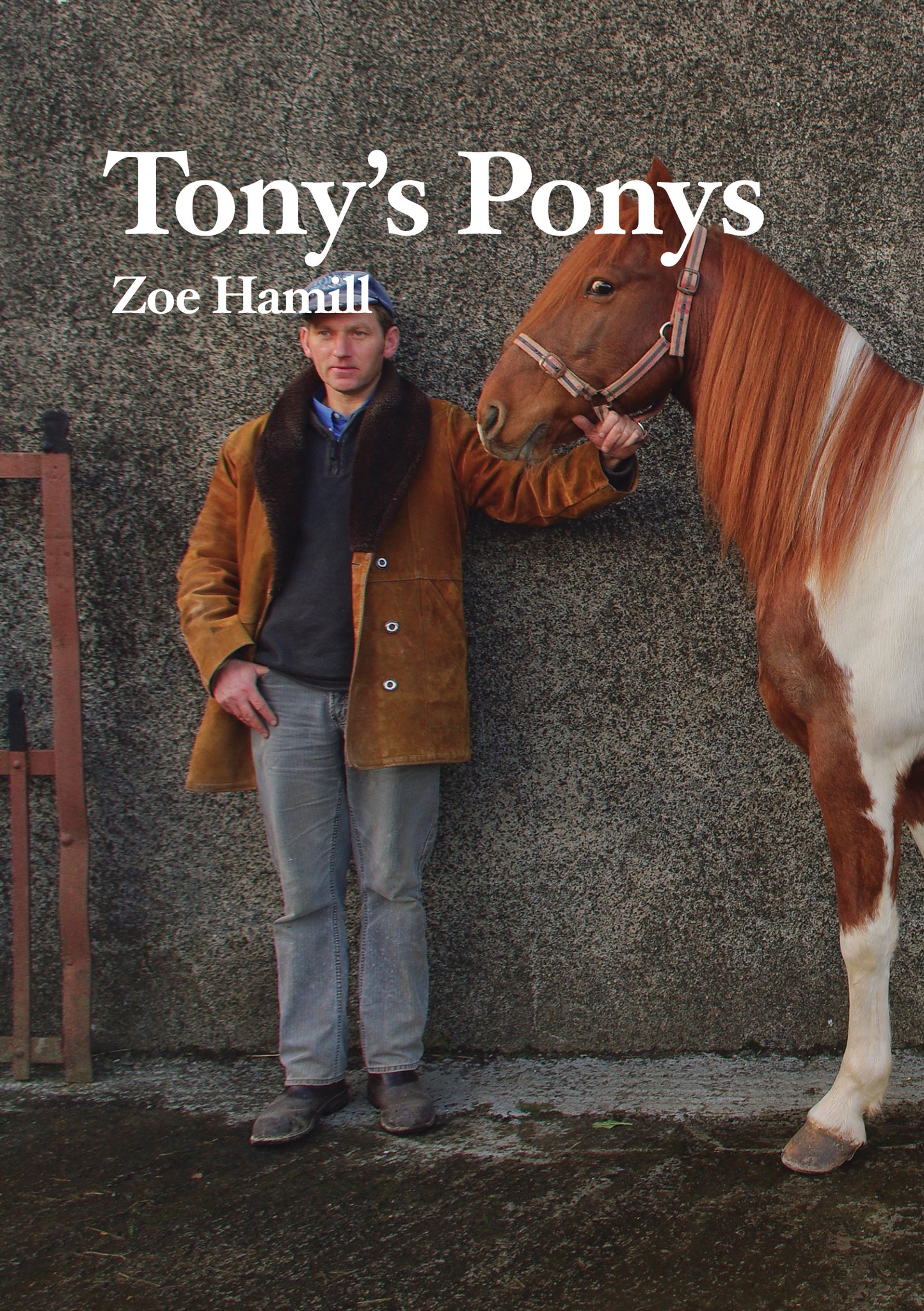 Tony's Ponys, Zoe Hamill – The Library Project